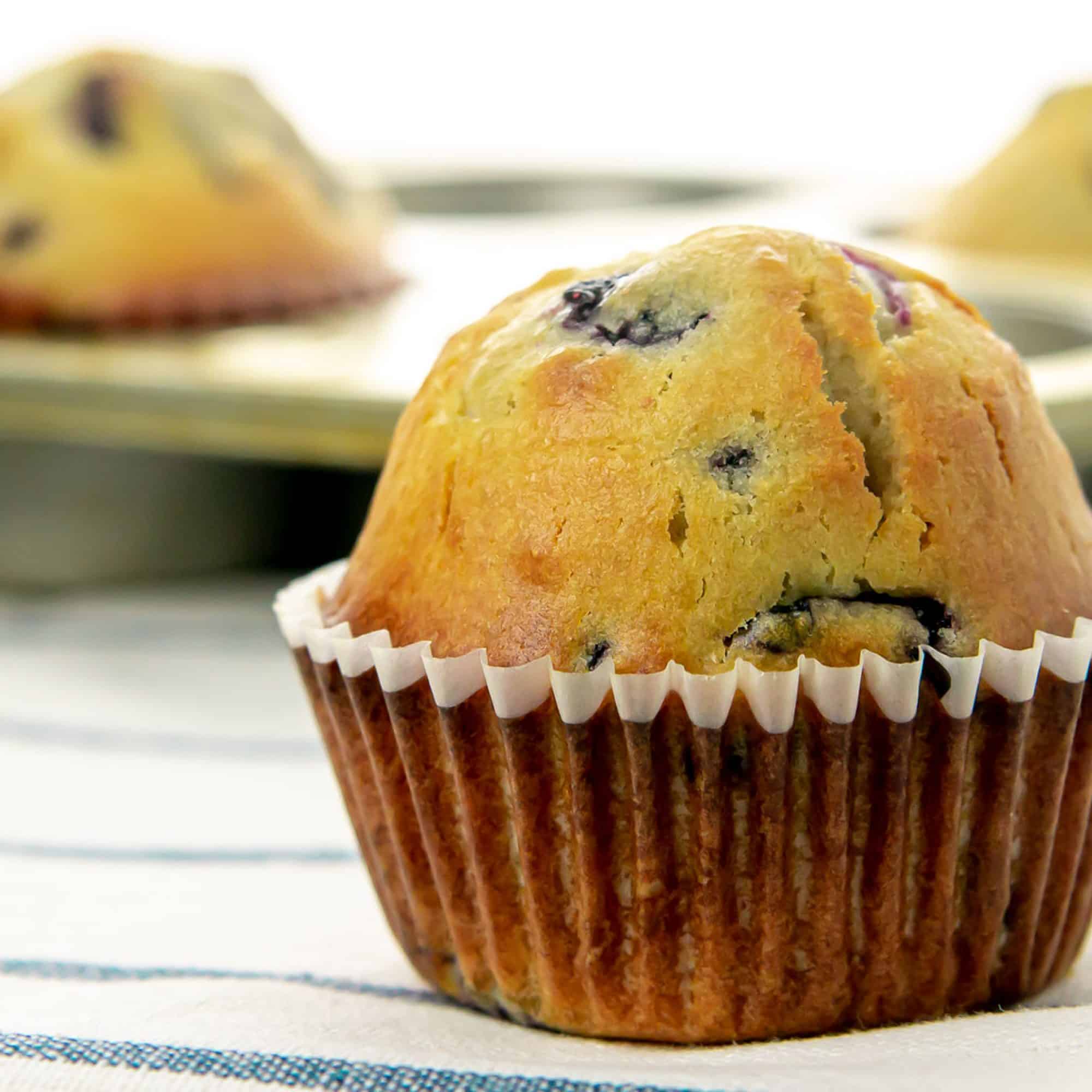 Freezer Blueberry Muffins - BestRecipes.co